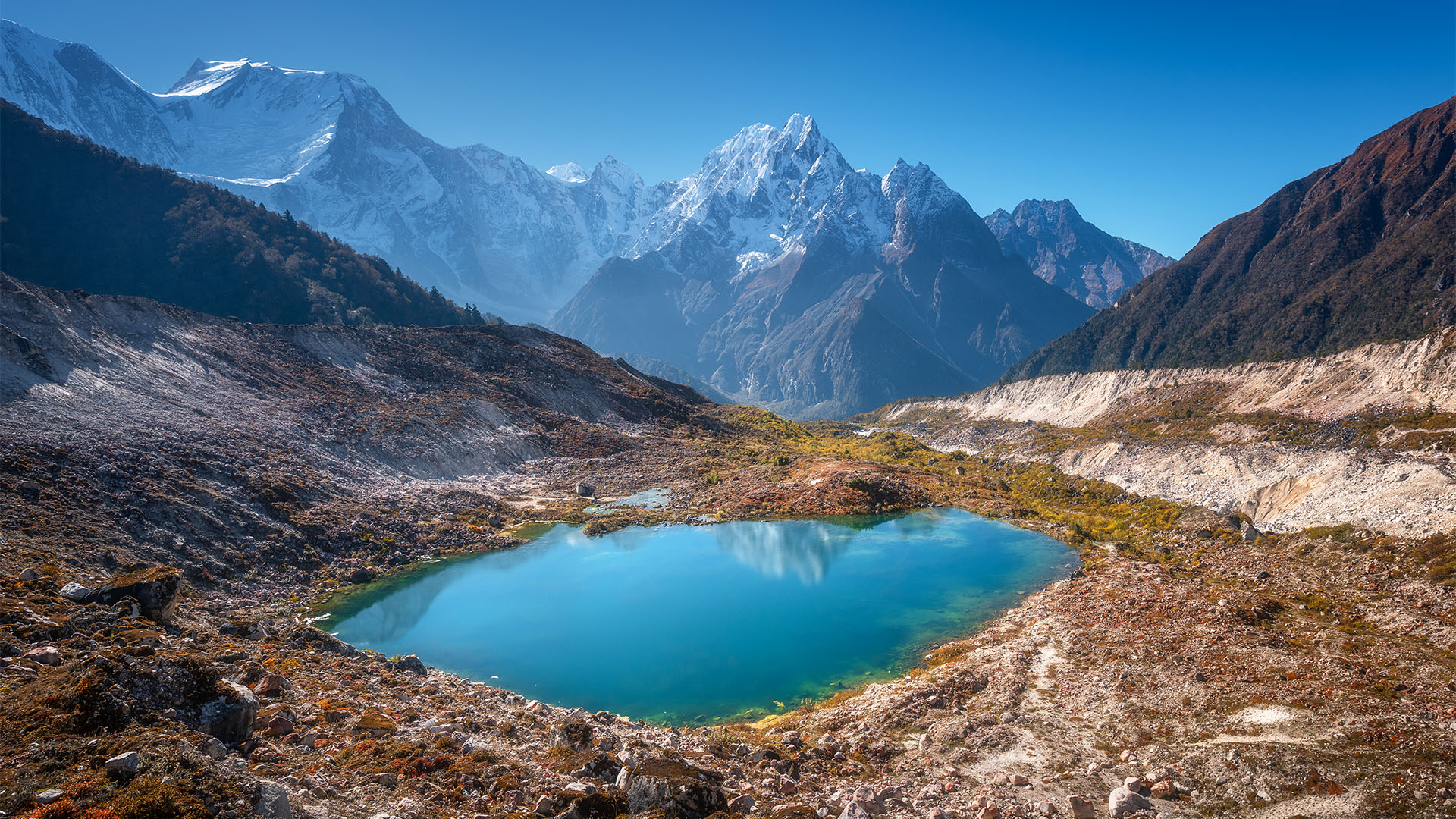 What Does Your Manycam Virtual Background Say About You? - ManyCam Blog ...