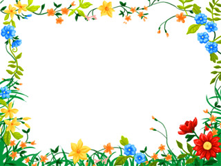 ManyCam webcam video borders