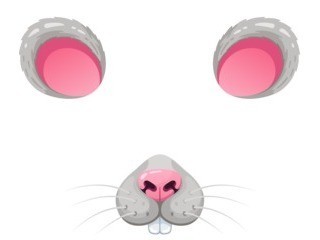 ManyCam webcam mask effects & graphics